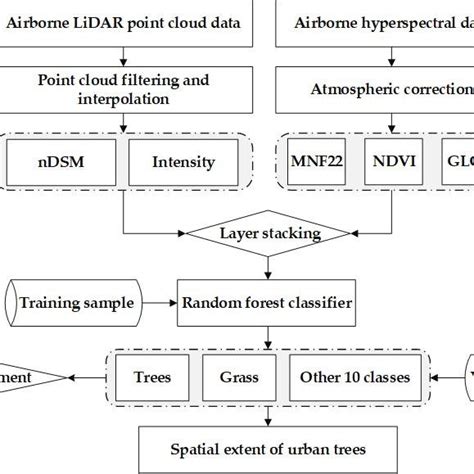 Flowchart Of Random Forest Classification For Urban Vegetation