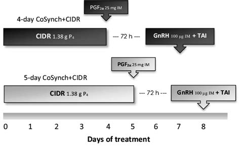 Diagrammatic Representation Of The 4 And 5 Day Cosynch Cidr