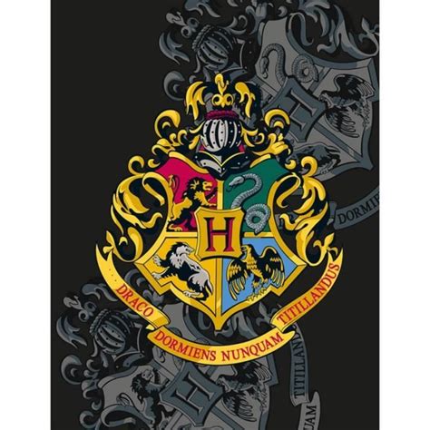 Couverture Polaire Harry Potter Blason Poudlard Unique Cdiscount