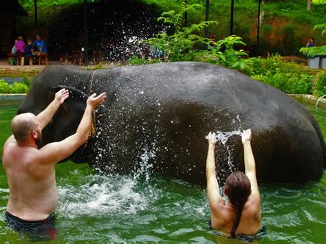 Elephant Trekking Phuket With Easy Day Phuket Tour