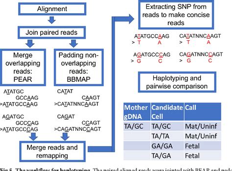Figure 5 From Use Of Amplicon Based Sequencing For Testing Fetal