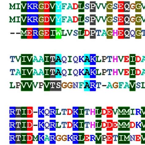 Pdf Protein Structure Prediction Using Homology Modeling Methods And