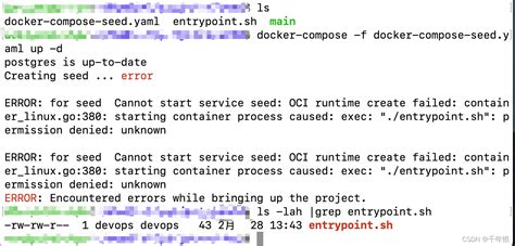 docker启动报错 oci runtime create failed container linux go380 starting