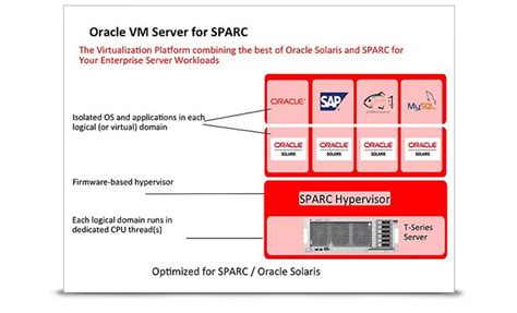 solaris ldom another solaris virtualization layer i should be using