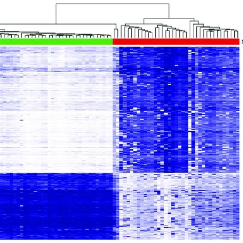 Patterns Of Dna Methylation For Tumor And Normal Paired Samples For The