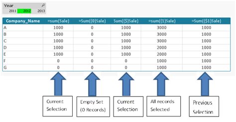 set analysis in qlikview and its components business intelligence tools