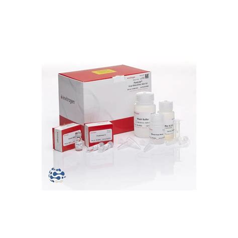 Invitrogen™ Mini Kit Dextraction Adn Arn Viral Purelink™ 50 Préparations