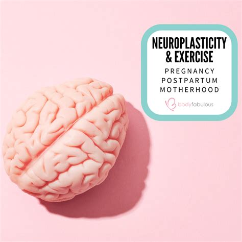 Neuroplasticity How The Mind Body Connection Is Important During