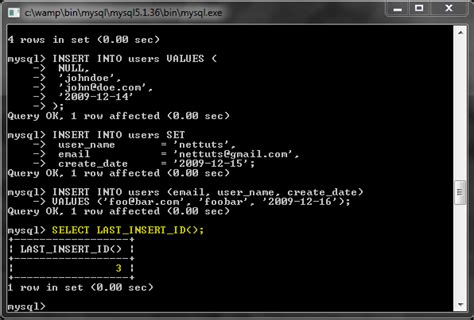 sql for beginners