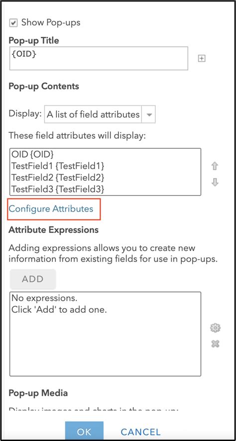 problem unable to display configured layer fields in the attribute