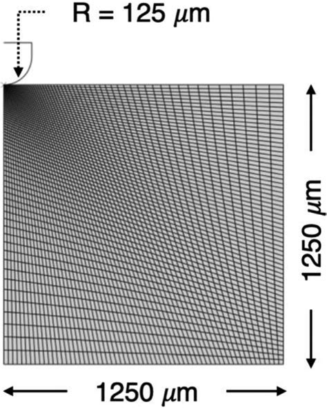 Axisymmetric Finite Element Model In The Reference Configuration