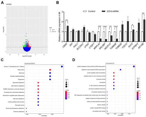 Single Oocyte Transcriptome Sequencing A Volcano Plot Displaying