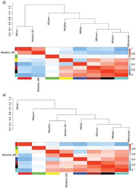 Continued Eigengene Dendrogram And Heatmap Of The Identified Eight