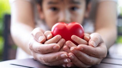 ¿qué Hay Que Saber Sobre Las Cardiopatías Congénitas Rosario3