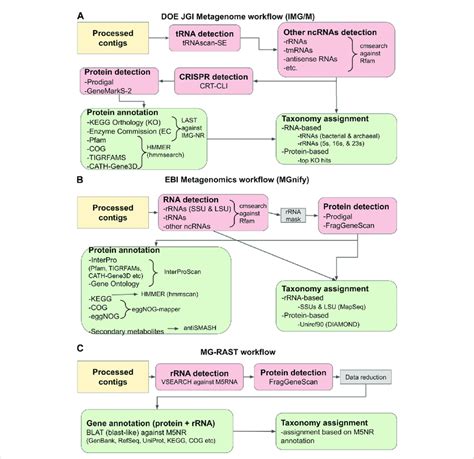 Gene Calling And Annotation In Img M A Mgnify B And Mg Rast C