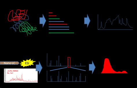 1 The Bottom Up Proteomics Workflow Is A Multi Step Process