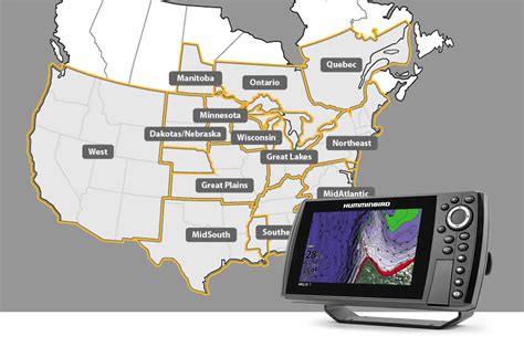 Image result for Humminbird Semi Colon