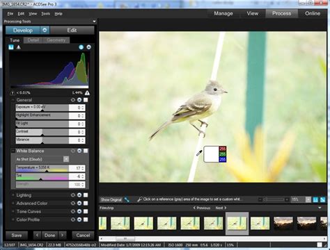 Image result for ACDSee Pro 3 Tutorial