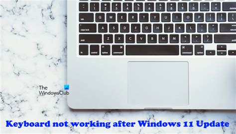 Image result for Windows 11 Causing Keyboard Problems