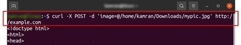 Image result for Post Request Using Linux