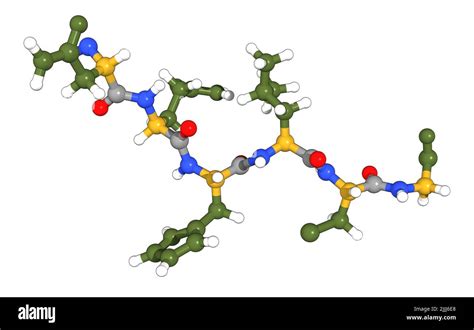 Image result for Primary Protein Structure Example