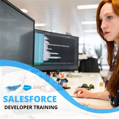 Image result for Advanced Salesforce Developer Training
