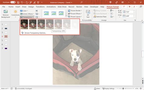 Image result for Transparent PowerPoint Image Challenge