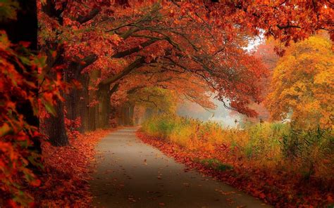Image result for Fall Scenery Desktop