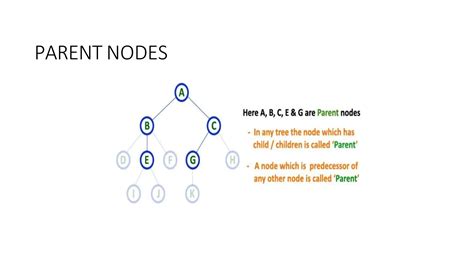 Image result for Tree Python Handling