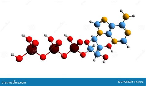 Image result for ATP Full Form Formula