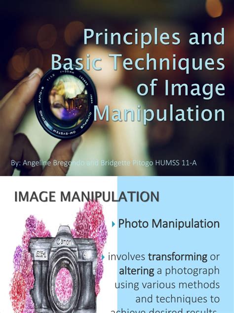 Image result for Basic Practices of Image Manipulation
