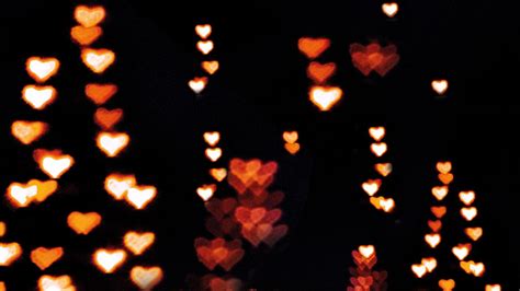 Image result for Digital Camera Tutorial