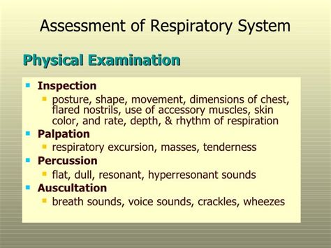 Image result for Respiratory Excursion Assessment