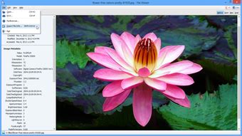 Image result for File Viewer Lite