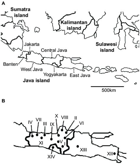 Image result for Java and Sumatra Islands