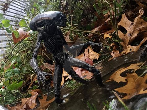 Image result for Alien Up Dog