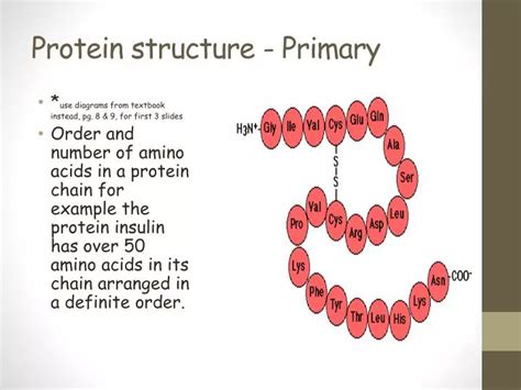 Image result for Primary Protein Structure Example