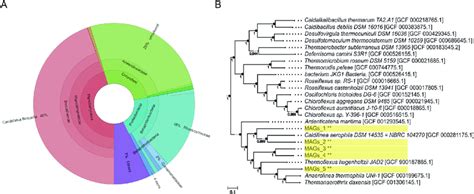 Image result for AronRa Systematic Classification System