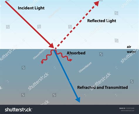 Image result for Reflection/Refraction Absorption