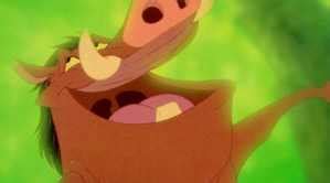 Image result for Fall Guys Pumba