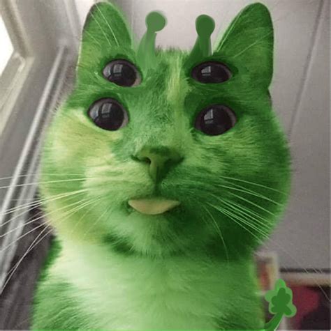 Image result for Alien Cat Meme Origin