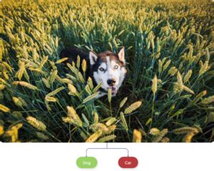 Image result for Image Net Classification Car