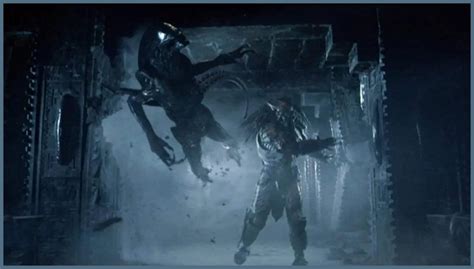 Image result for Alien vs Predator Animations