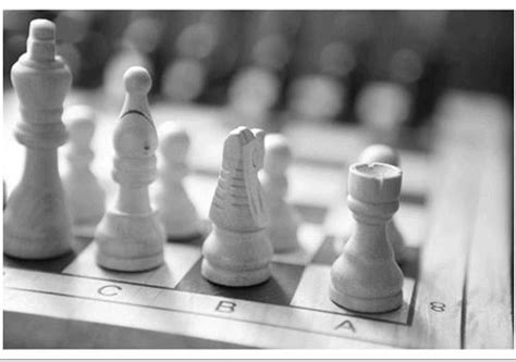 Image result for Adobe Fireworks CS5 Tutorial