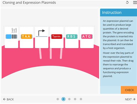 Image result for Expression Cloning Explained