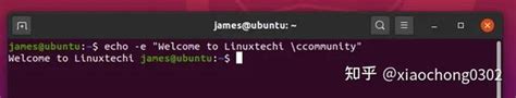 Image result for Echo Unix
