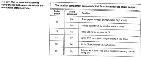 Image result for C8 Complement Deficiency