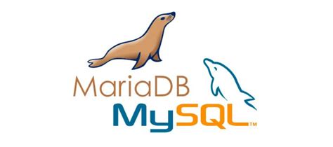 Image result for How to Insert IBD File in phpMyAdmin