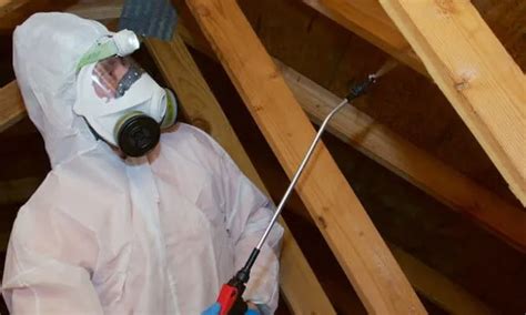 Image result for Alien Power Mold Spray