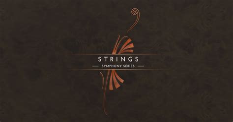 Image result for Strings Ensemble Native Instruments